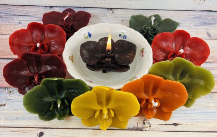 Včelí produkty včelí farmy AnnKas - med, pyl, propolis, včelí vosk ...